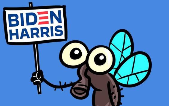 Usa 2020, FlyGate: i meme sulla mosca che ha tormentato Pence durante ...