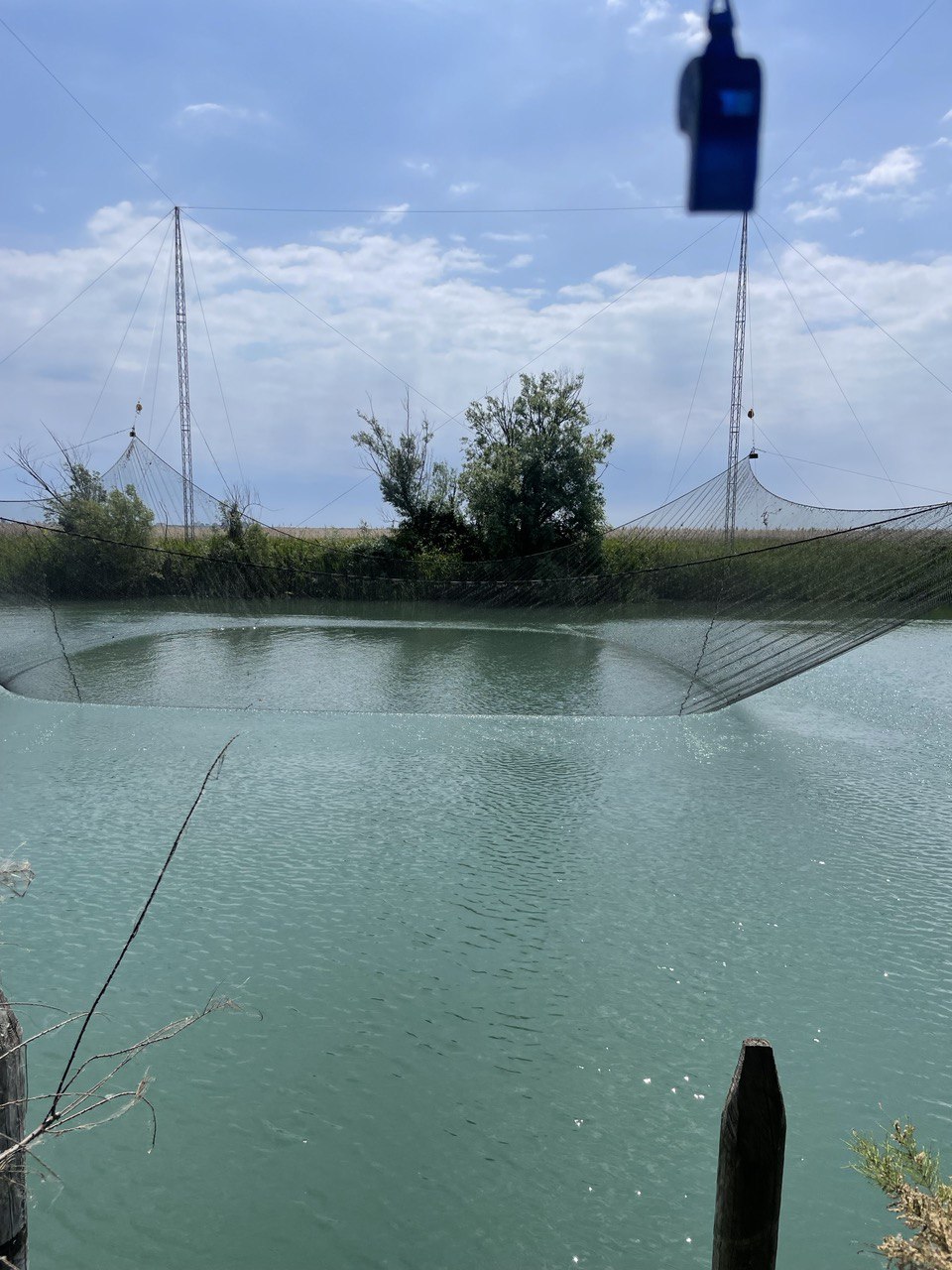 Lignano Sabbiadoro, un'oasi di natura e wellness: quando andare e cosa ...