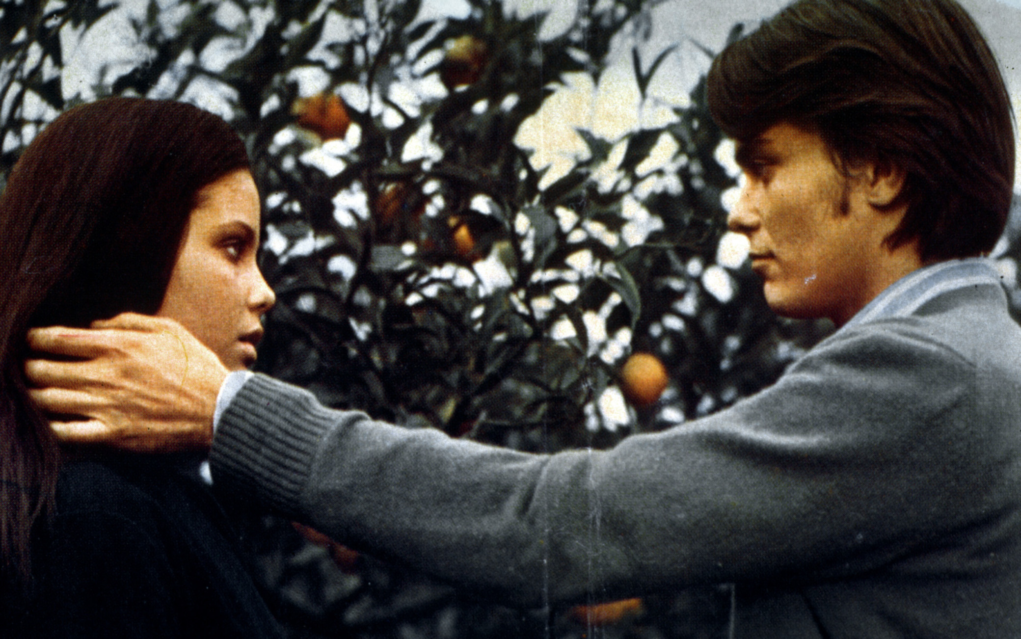 Ornella Muti compie 70 anni, i film più famosi di un’icona del nostro ...