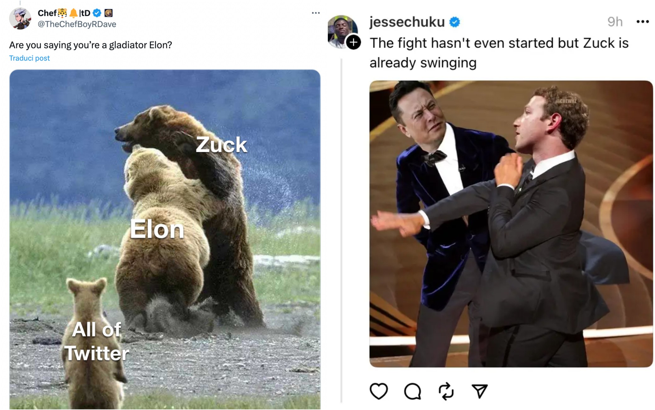 I migliori meme virali sui social nel 2023. FOTO | Sky TG24