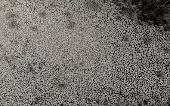 Bokep doodstream 2025 as soon as I came inside, she