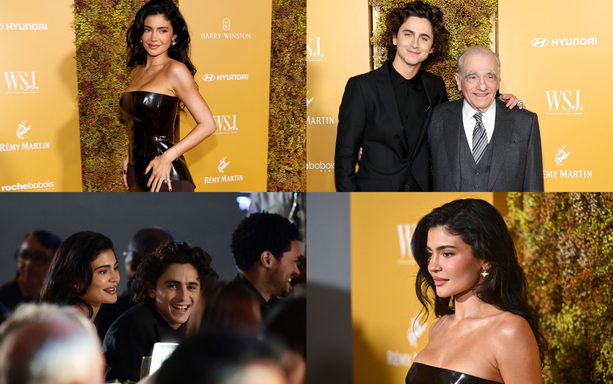 Kylie Jenner e Timothée Chalamet insieme a un evento di gala a New York ...