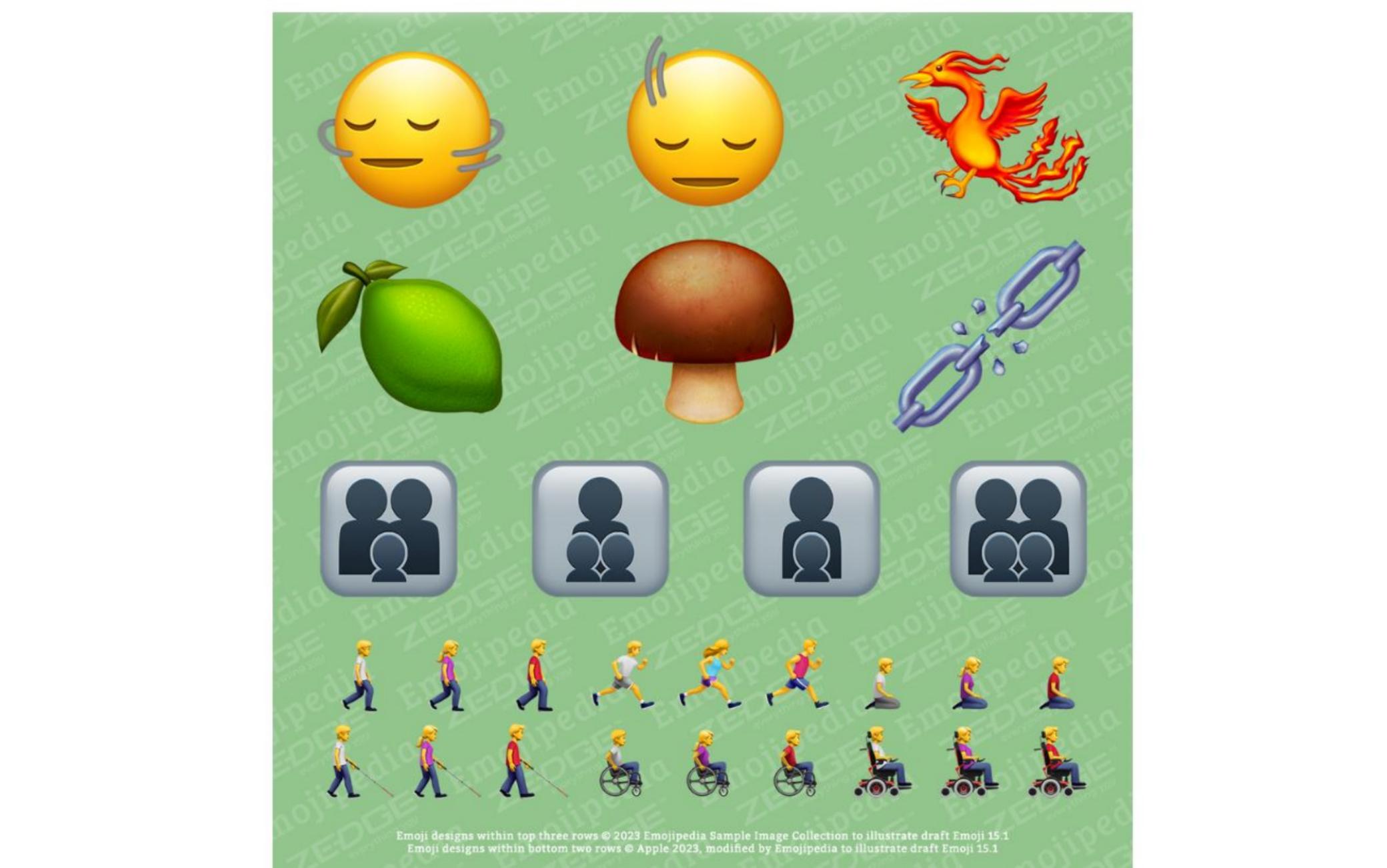WhatsApp, tutte le nuove emoji del 2024. FOTO | Sky TG24