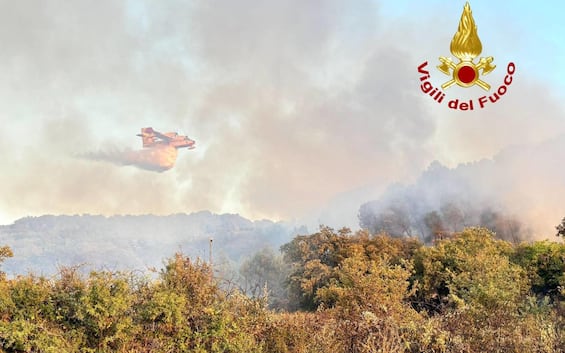 Incendi in Sardegna, fiamme da Nuoro a Sassari: grave la situazione a ...