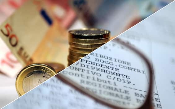 Stipendi marzo 2025, Irpef e addizionali: come cambiano le buste paga | Sky TG24
