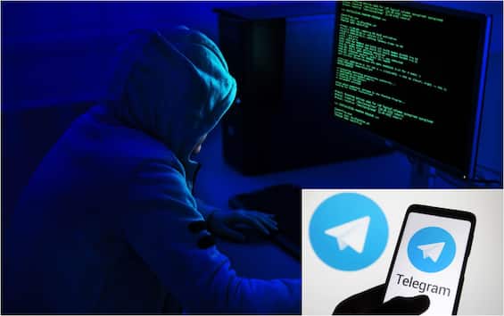 Money Muling, cos'è la nuova truffa su Telegram e come difendersi | Sky ...