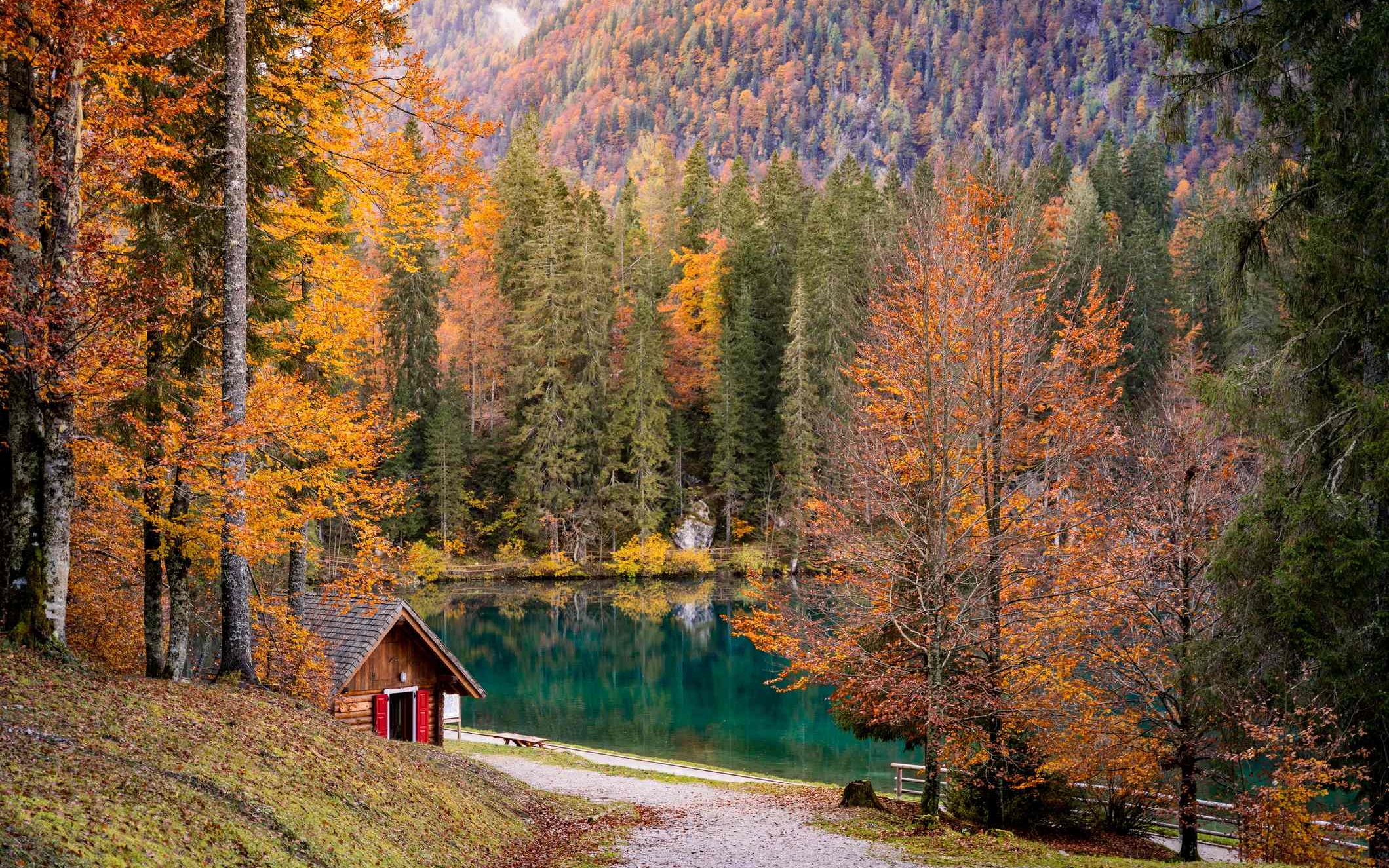 Buongiorno e buon inizio d'autunno, frasi e immagini da inviare su ...