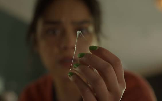 Final Destination, in lavorazione il settimo film del franchise | Sky TG24