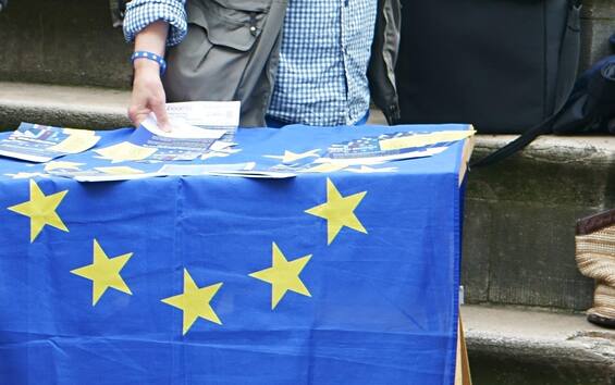 Elezioni Europee, lista polli malvagi e cani a due code: i partiti più ...