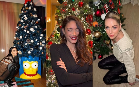 Gli alberi di Natale dei vip, i più belli del 2024 | Sky TG24