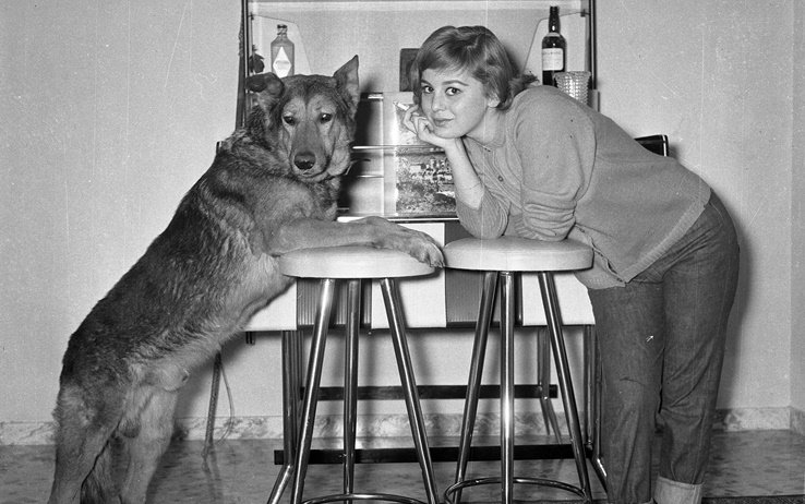 Alessandra Panaro, le foto dell'attrice diventata celebre per 'Poveri ...