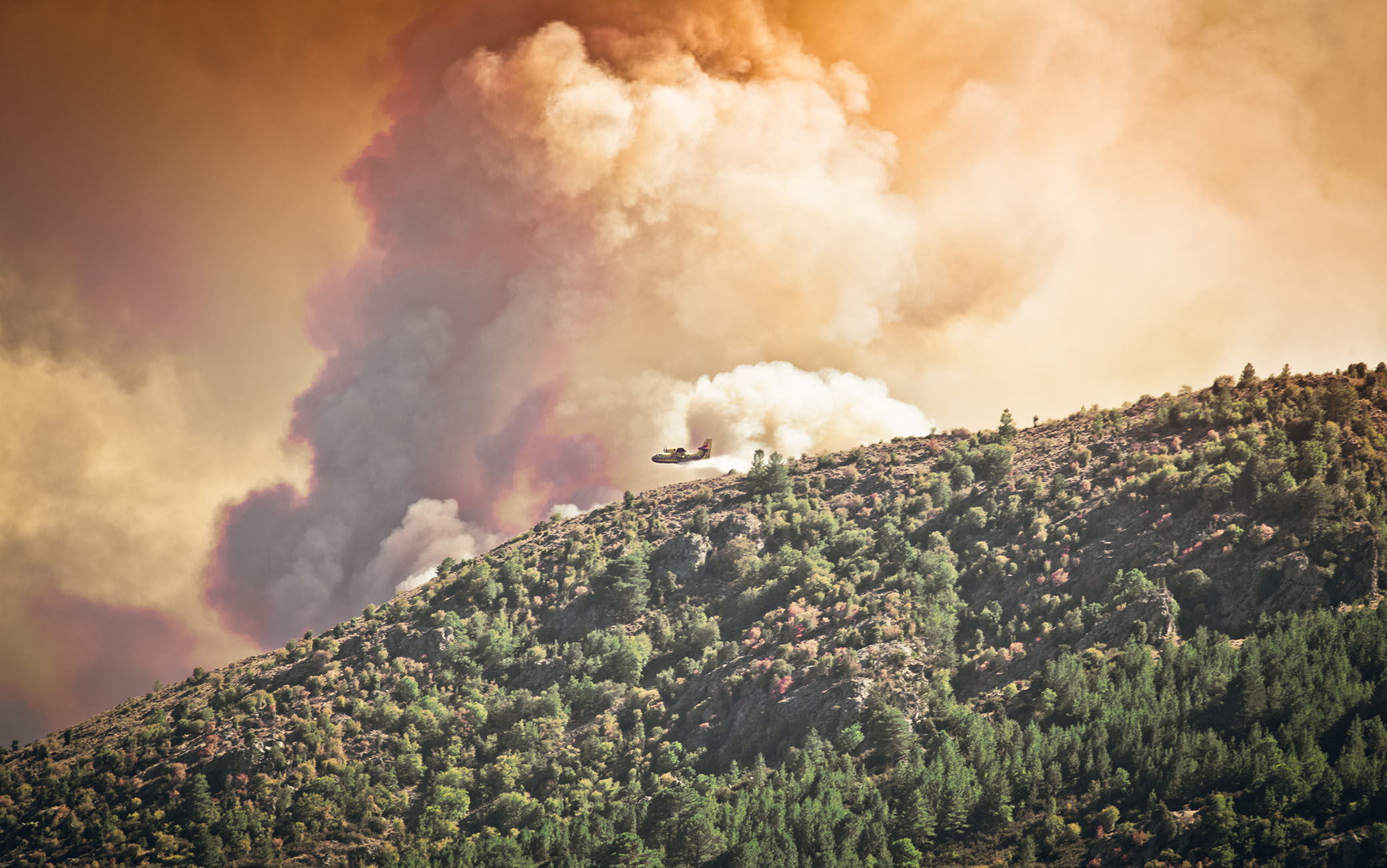 Incendi nel mondo, i dati e le mappe del World Fire Atlas dell’Esa ...