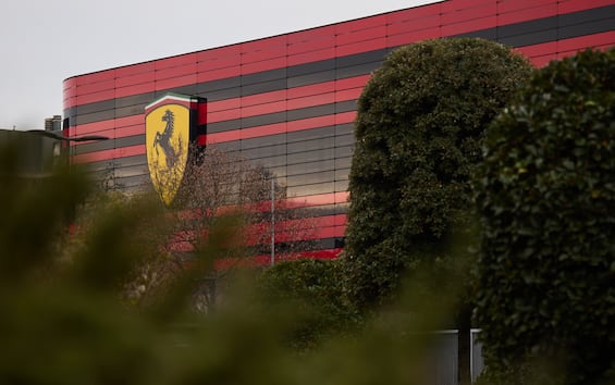 Bella lyn basque schedule a time for for the few hours