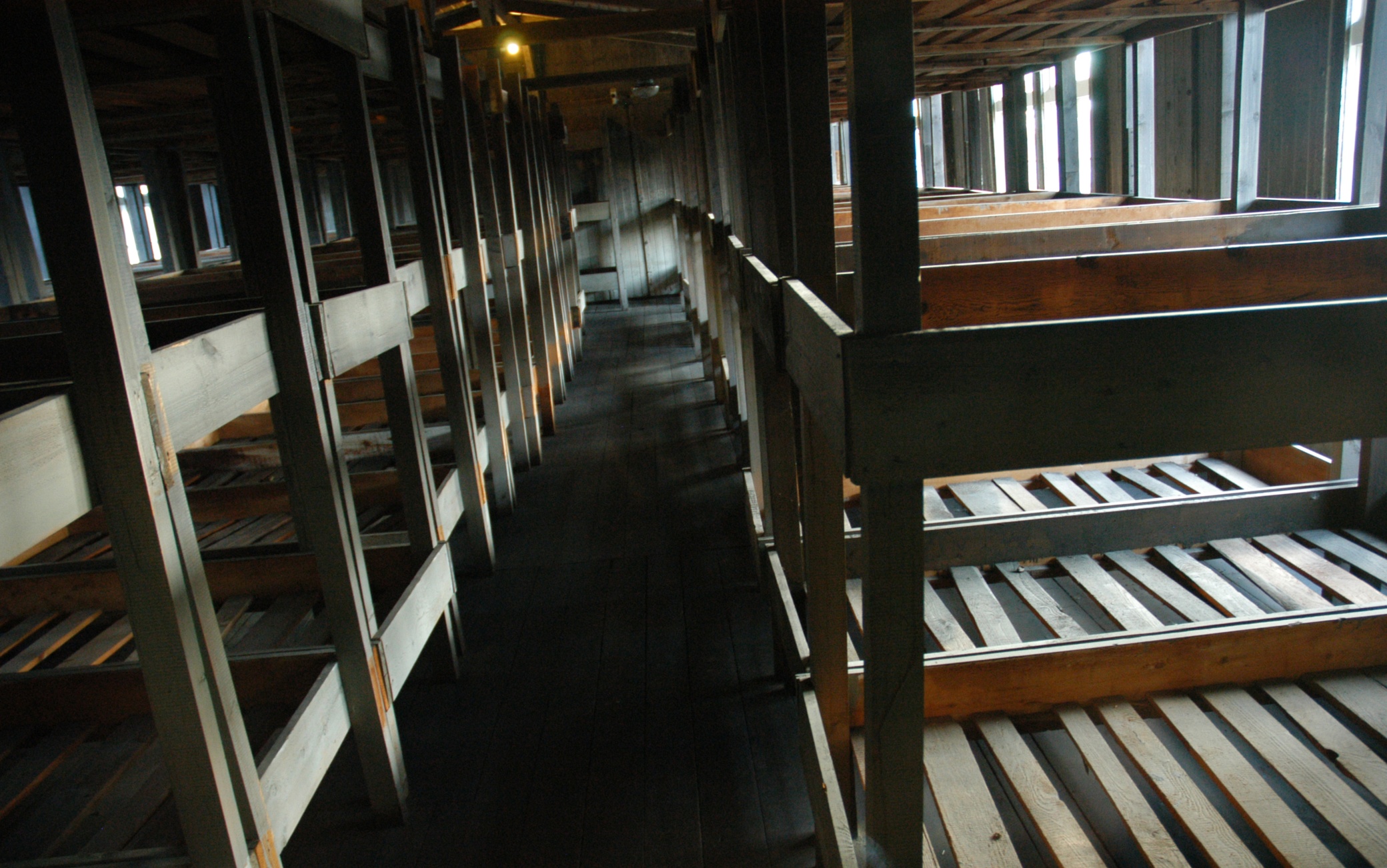 Giornata della Memoria, immagini simbolo dell'Olocausto: da treni della ...