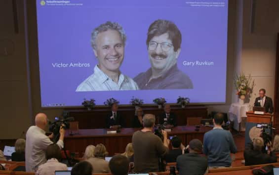 Victor Ambros e Gary Ruvkun, chi sono i Premi Nobel per la Medicina ...