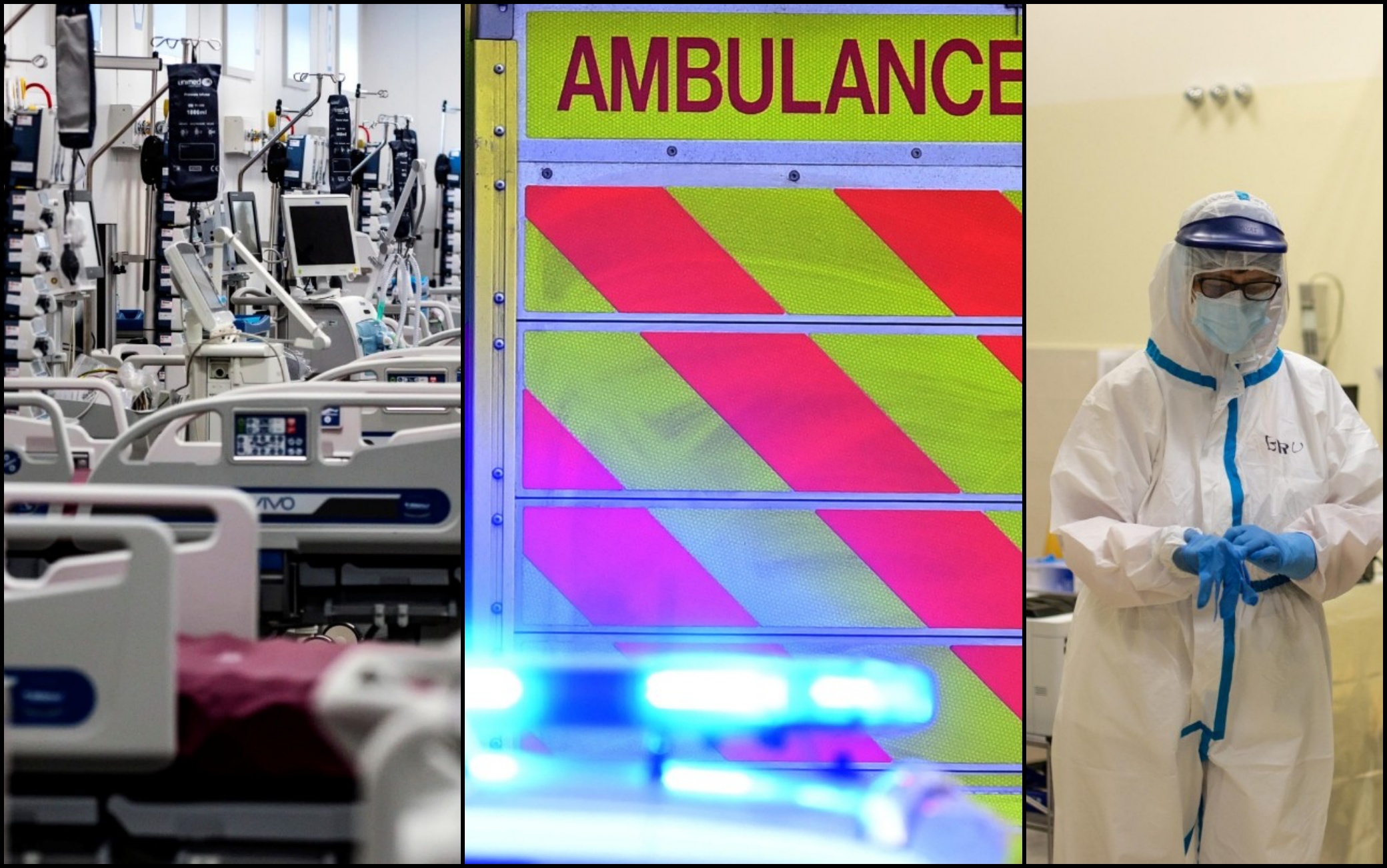 Covid, ci sarà una nuova epidemia nel 2025: scienziati USA avvertono la ...