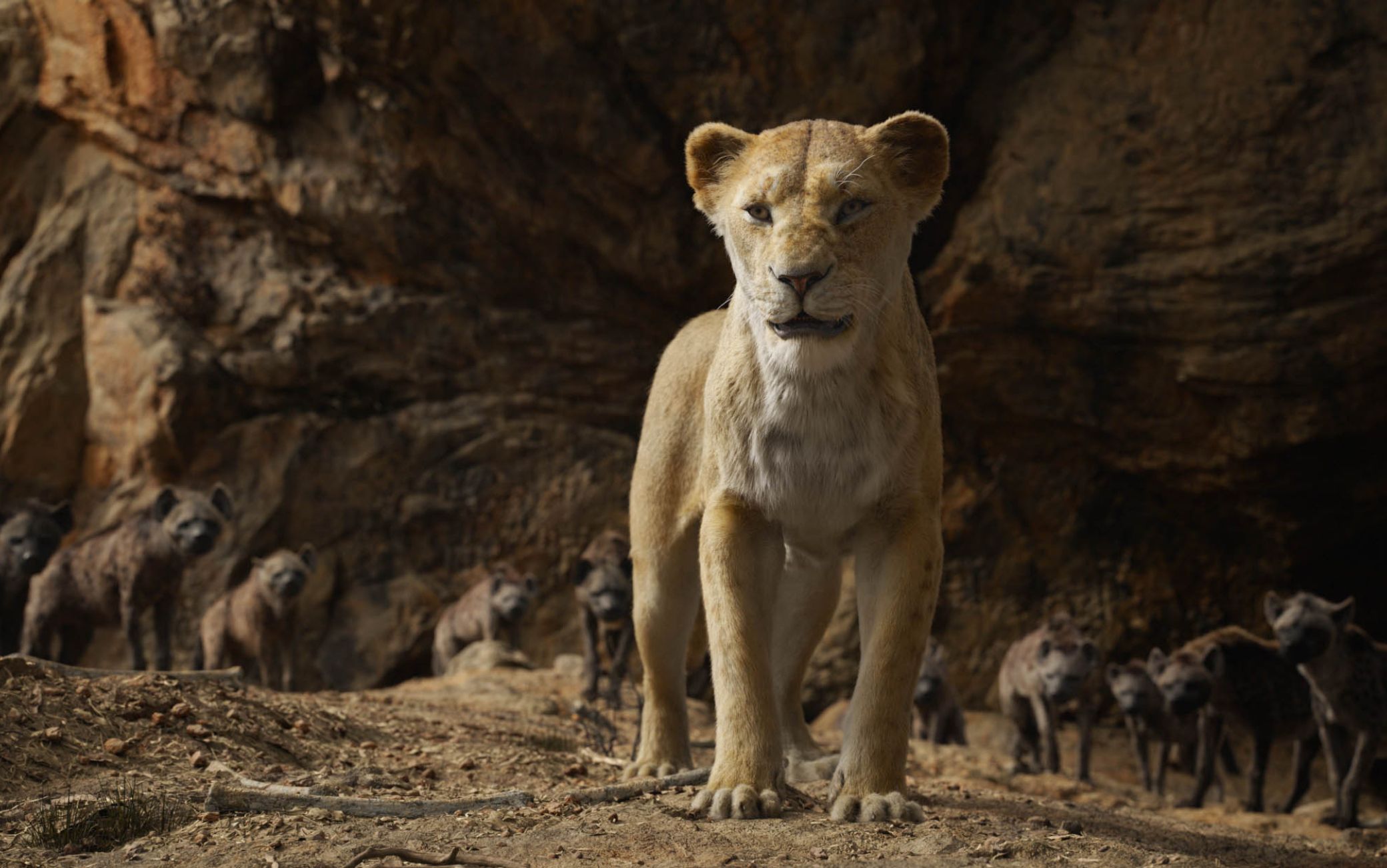 12 curiosità sul Re Leone