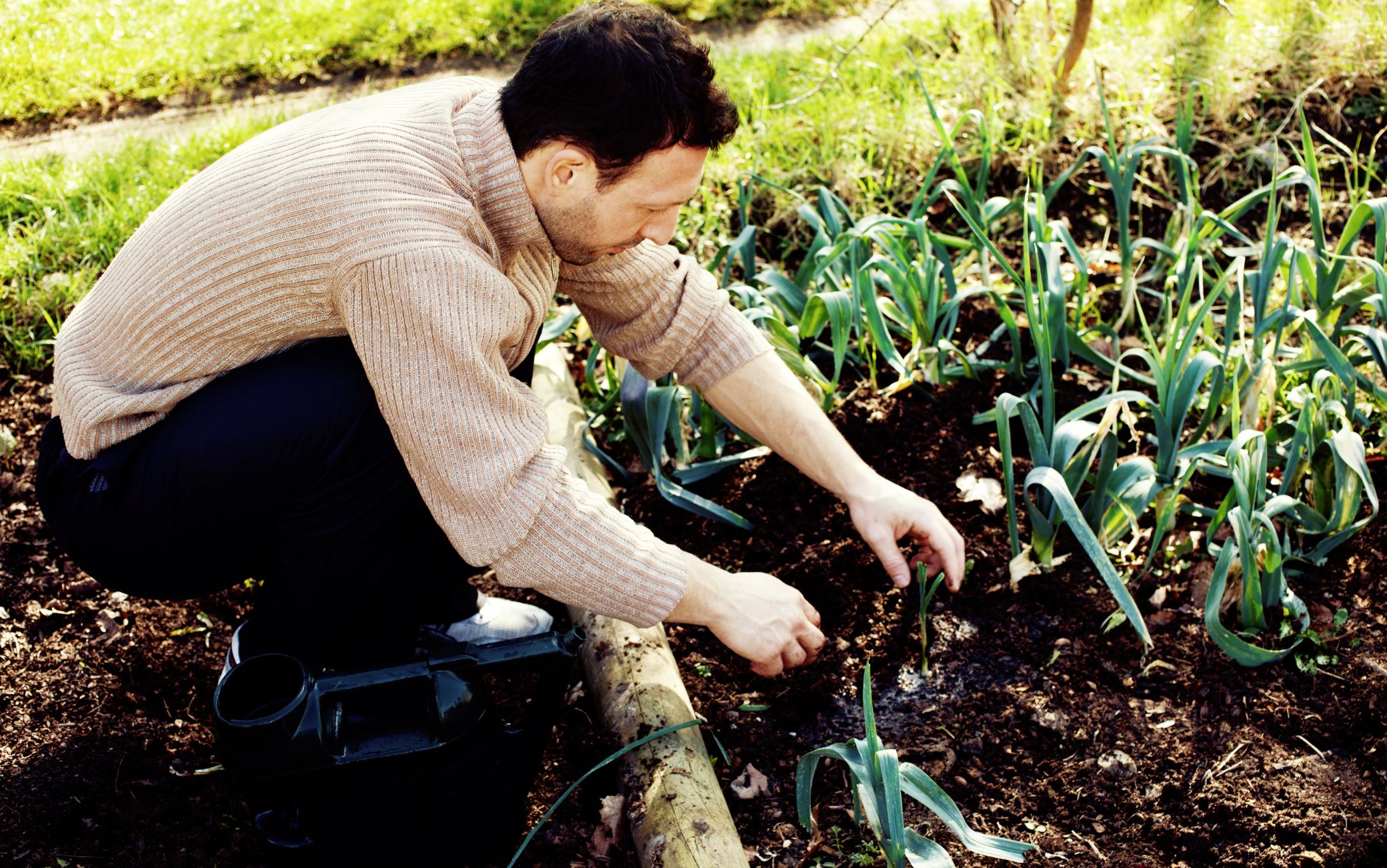 Cosa piantare e cosa seminare nell'orto di febbraio | Sky TG24