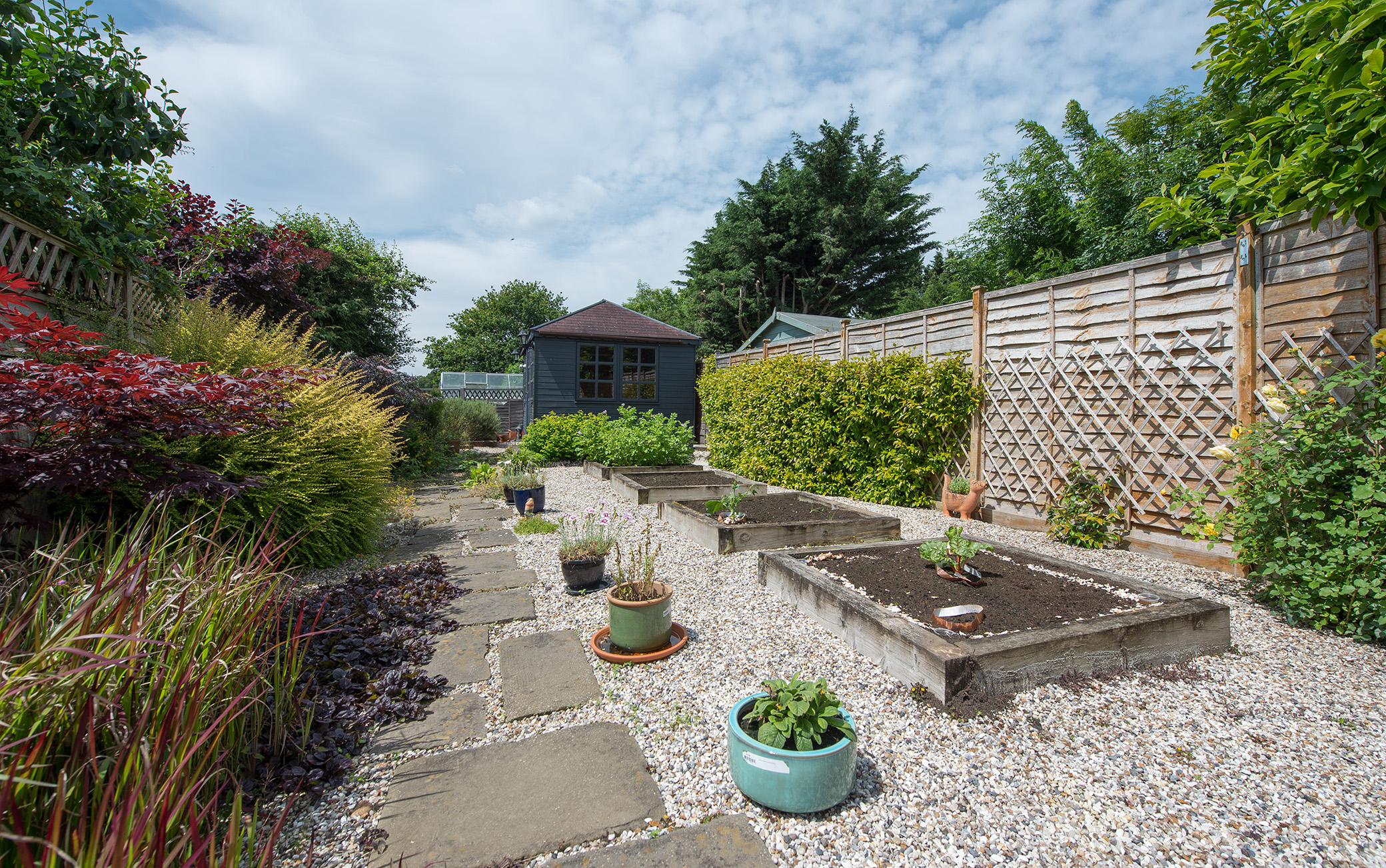 Orto-mania per il 62% degli italiani. I 10 consigli da seguire | Sky TG24