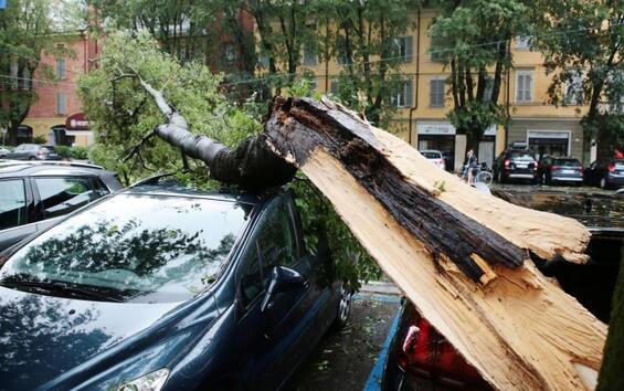 Maltempo oggi, grandine a Bologna e a Modena. Gli aggiornamenti