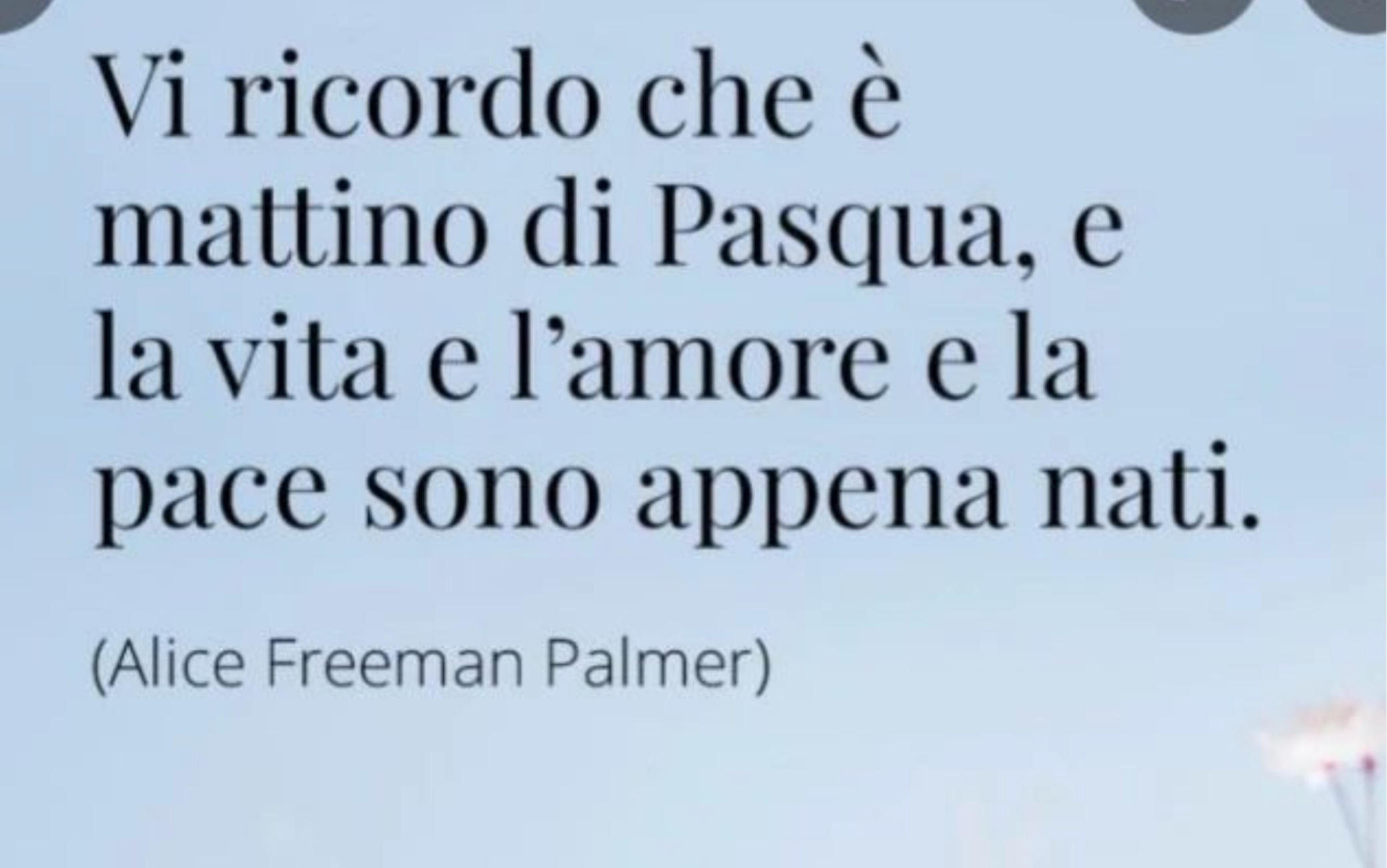 Buona Pasqua 2024: frasi e immagini da inviare su WhatsApp per auguri ...