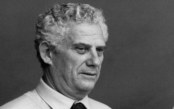 Nuoto: morto Costantino Dennerlein, ct azzurro per oltre vent'anni ...