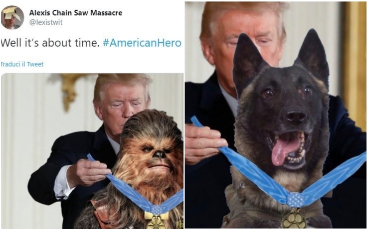 Trump e il fotomontaggio del premio al cane-eroe, ironia su Twitter ...