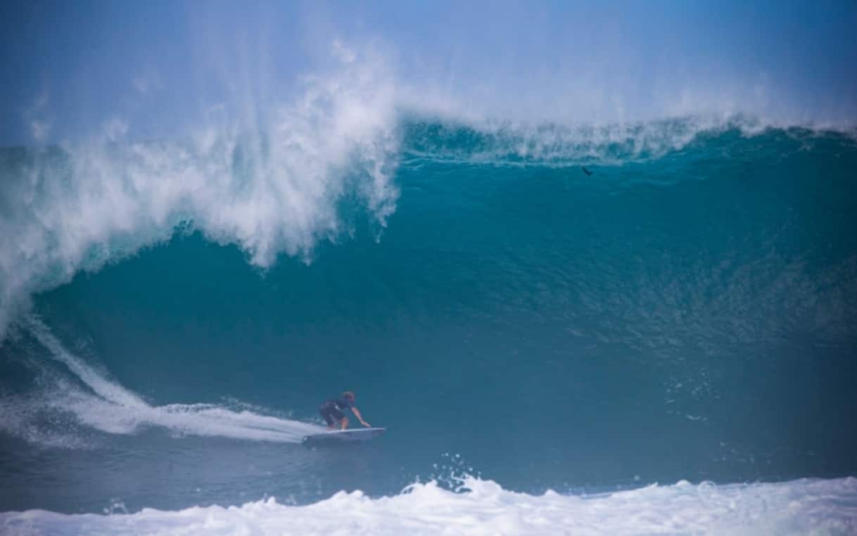Surfista attaccato da uno squalo in Australia: è grave | Sky TG24