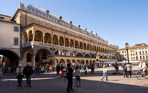 Le mostre d'arte a Padova da non perdere a ottobre 2023 | Sky TG24