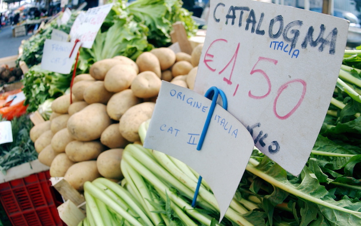 Verdura di stagione: lista completa e guida alla scelta. FOTO | Sky TG24