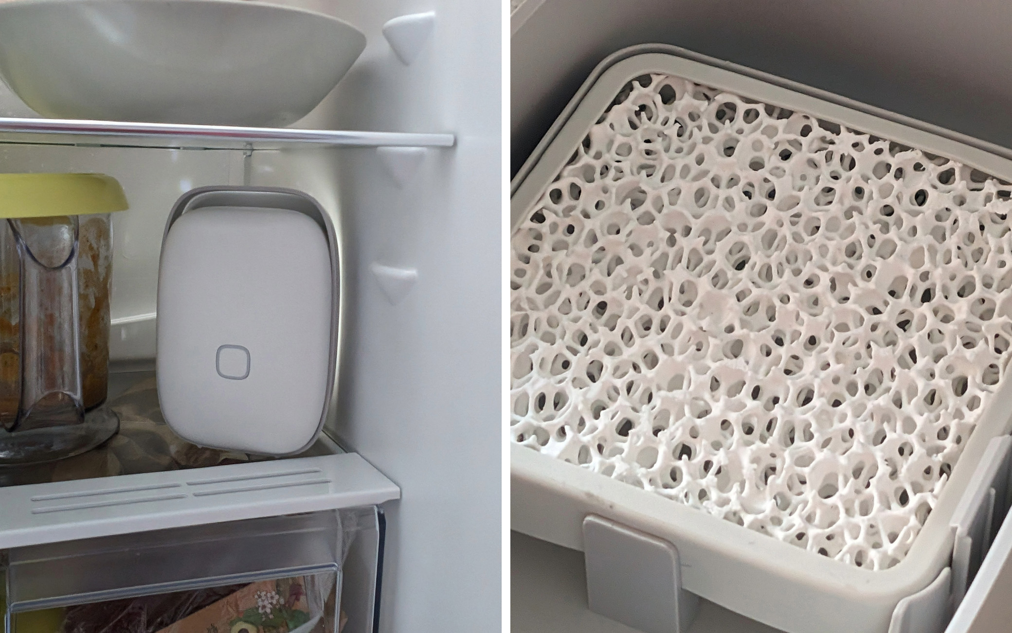 Shelfy, il dispositivo che rende il frigorifero smart e aiuta a non sprecare cibo | Sky TG24