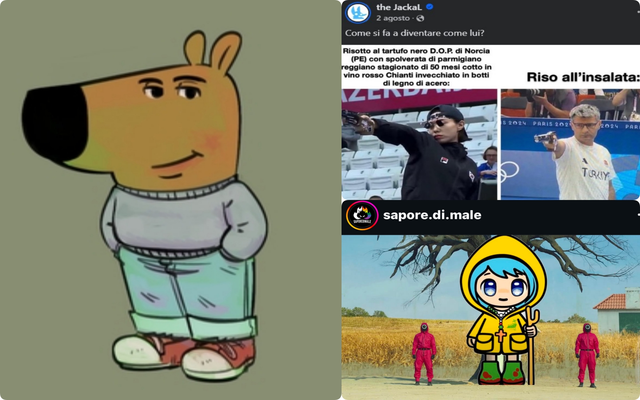 I migliori meme virali sui social nel 2024. FOTO | Sky TG24