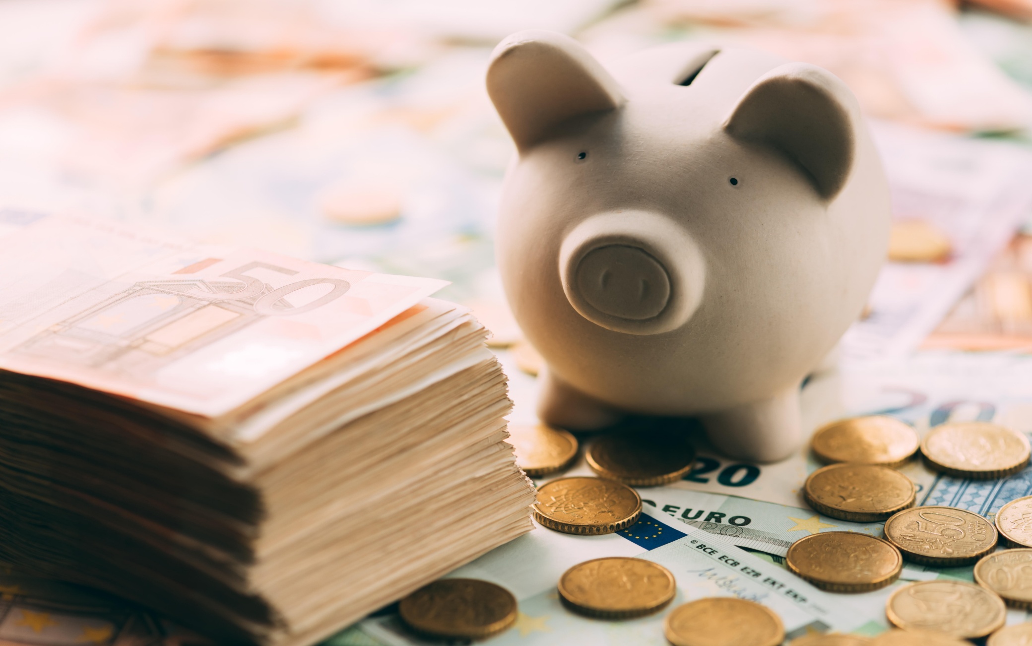 L'Euro compie 25 anni, la storia della moneta unica europea | Sky TG24