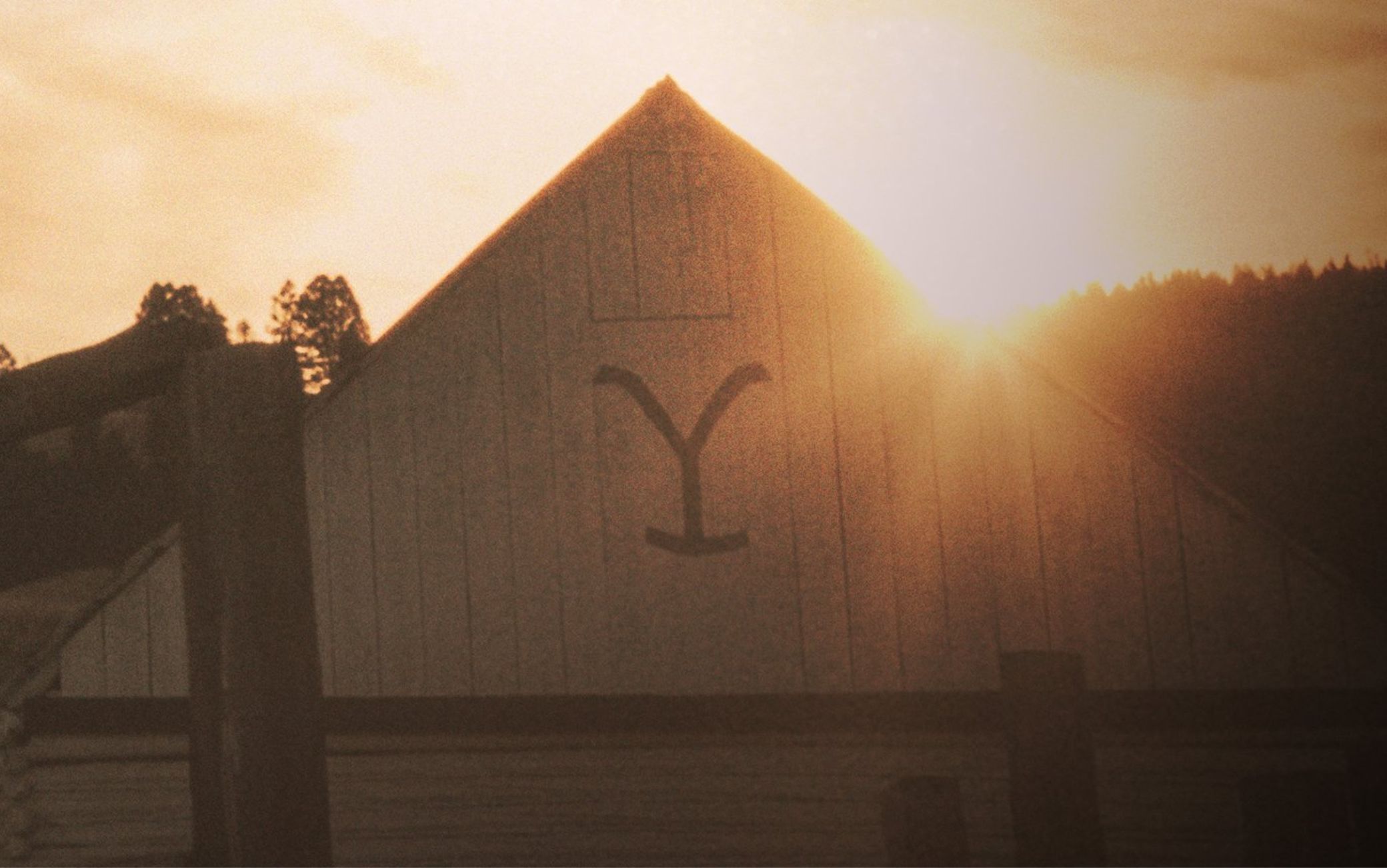 Yellowstone 5, tutto quello che c'è da sapere sulla quinta stagione ...