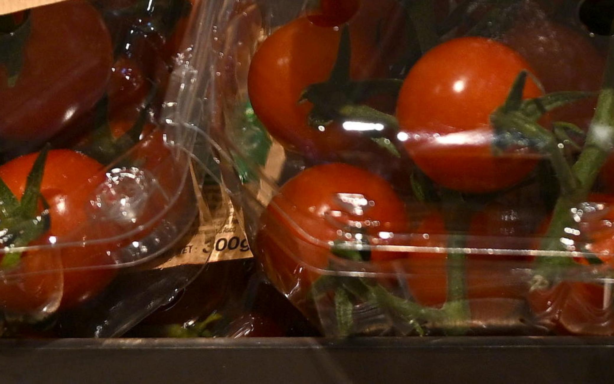 Imballaggi, confezioni e buste monouso: cosa si salva con le nuove norme Ue | Sky TG24