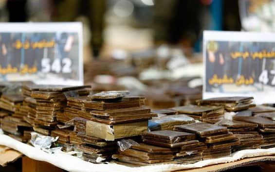 Droga, traffico di hashish tra Spagna e Italia, 13 arresti | Sky TG24