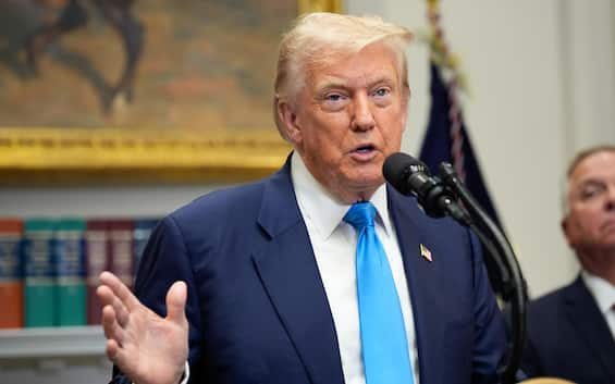 Dazi Usa, Wsj: i conti che non tornano nelle promesse di Trump | Sky TG24