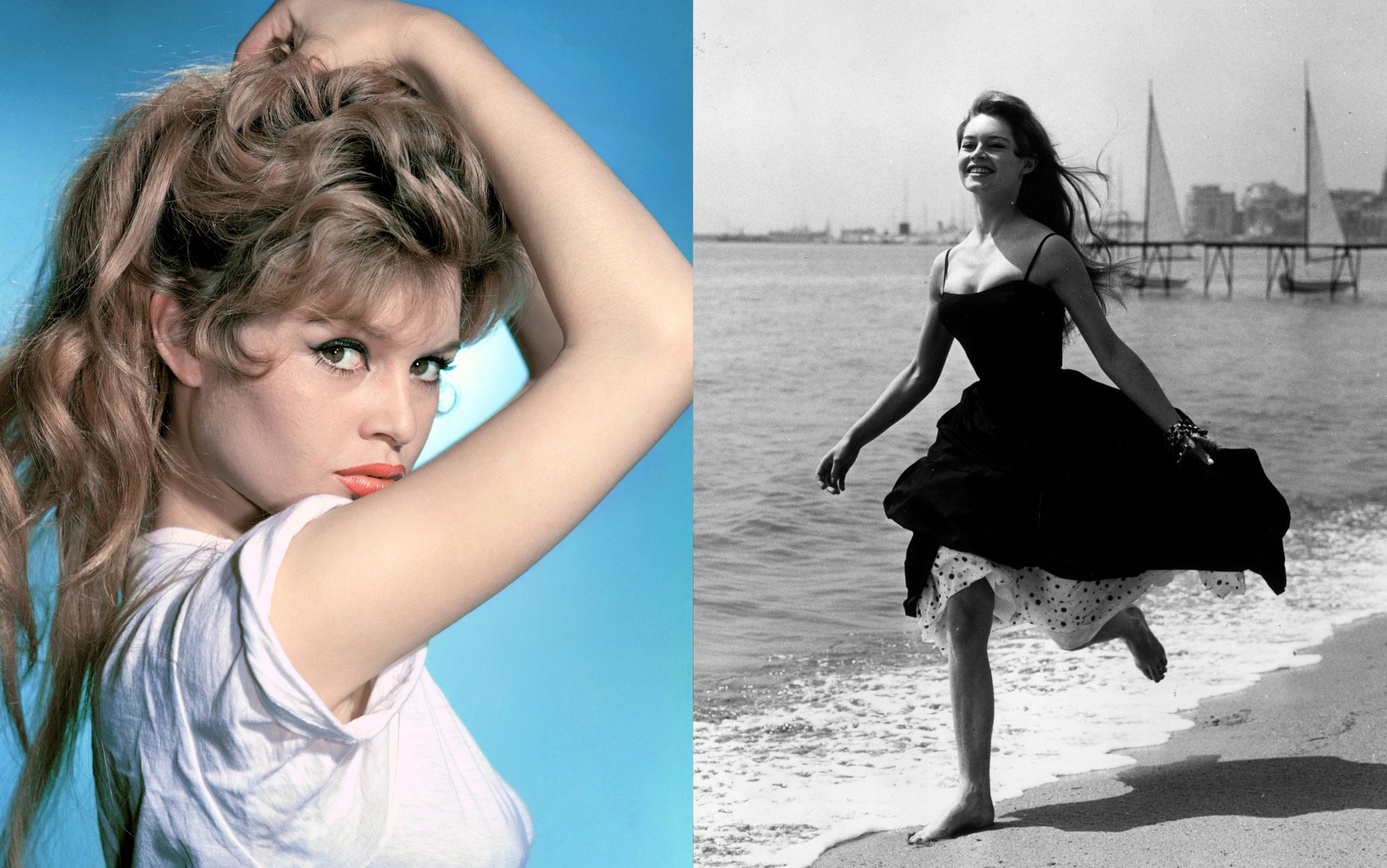 Brigitte Bardot di nuovo ricoverata in ospedale I Sky TG24