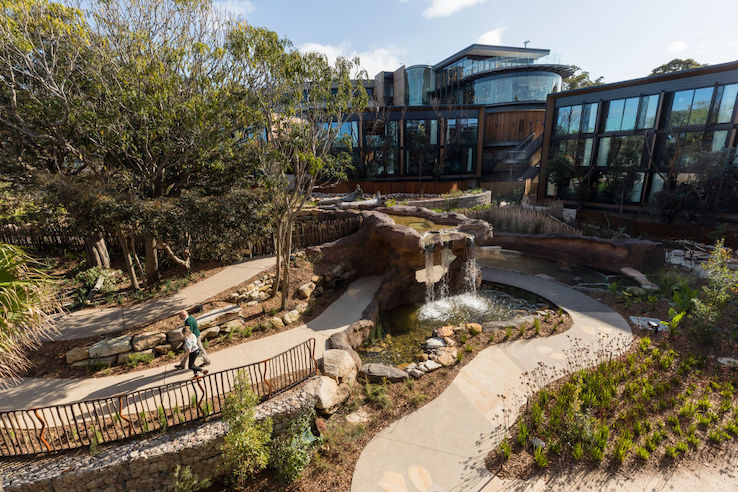 Un hotel all’interno dello zoo: a Sydney apre il Wildlife Retreat. FOTO ...