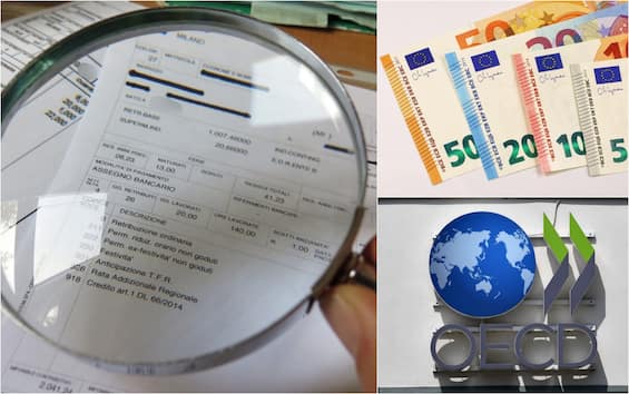 Stipendio medio nel mondo, dove si guadagna di più: Italia nella top 20 ...