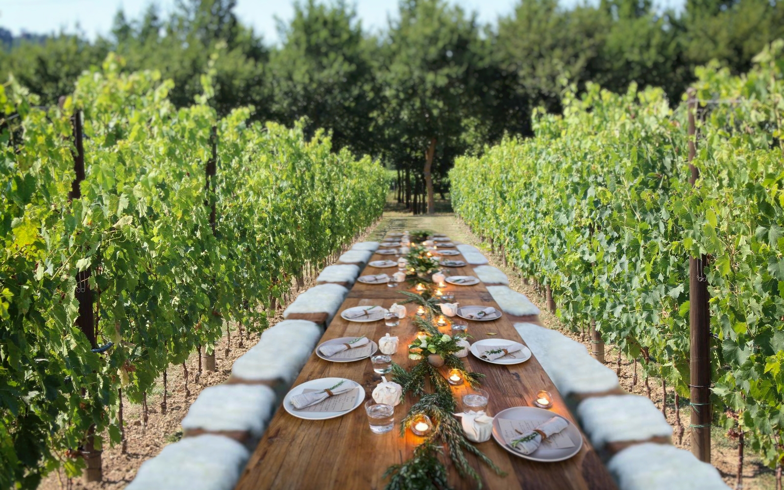 Cena o aperitivo in vigna in Toscana: 15 pic-nic dal Chianti alle Terre ...