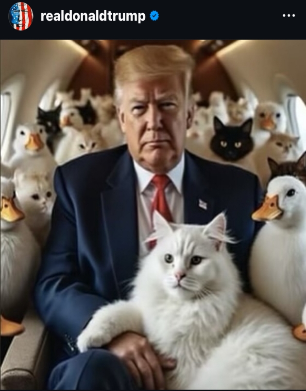 I migliori meme virali sui social nel 2024. FOTO | Sky TG24