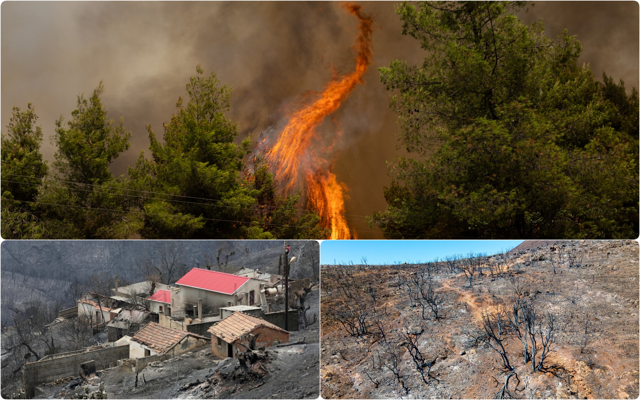 Incendi in Grecia, revocato lo stato di emergenza a Rodi | Sky TG24