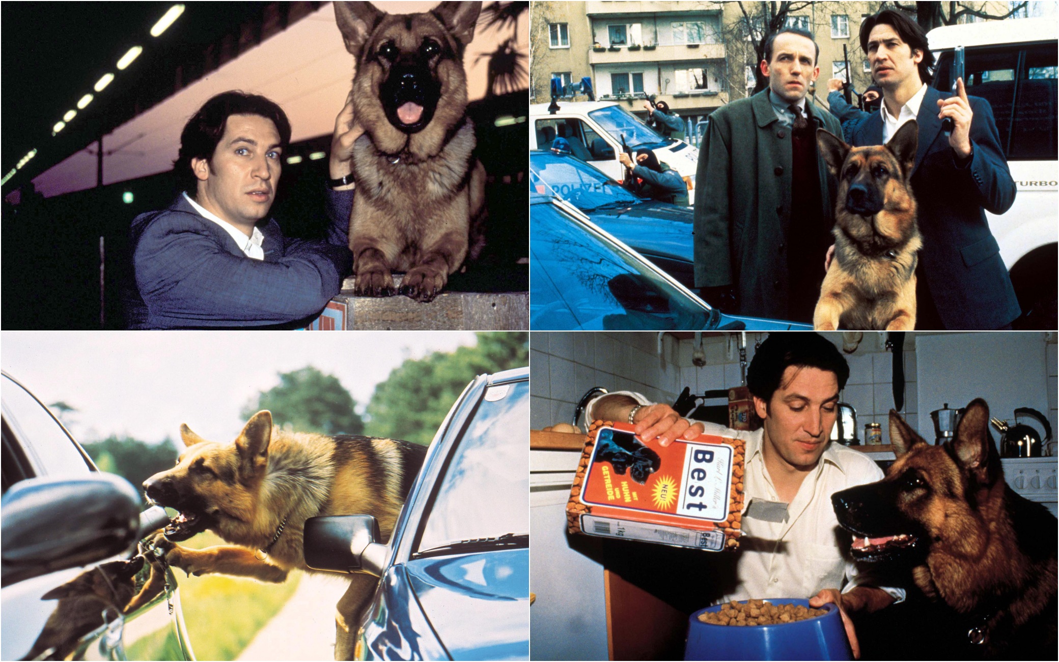 'Il Commissario Rex', 30 anni fa il debutto della serie tv cult: 11 ...