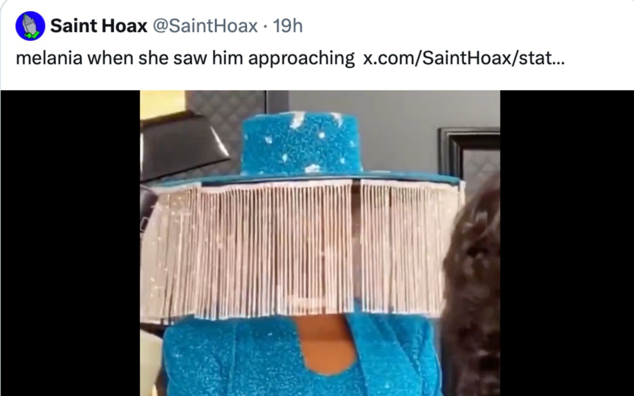 Insediamento Trump, i meme sull'Inauguration Day, dal cappello di ...