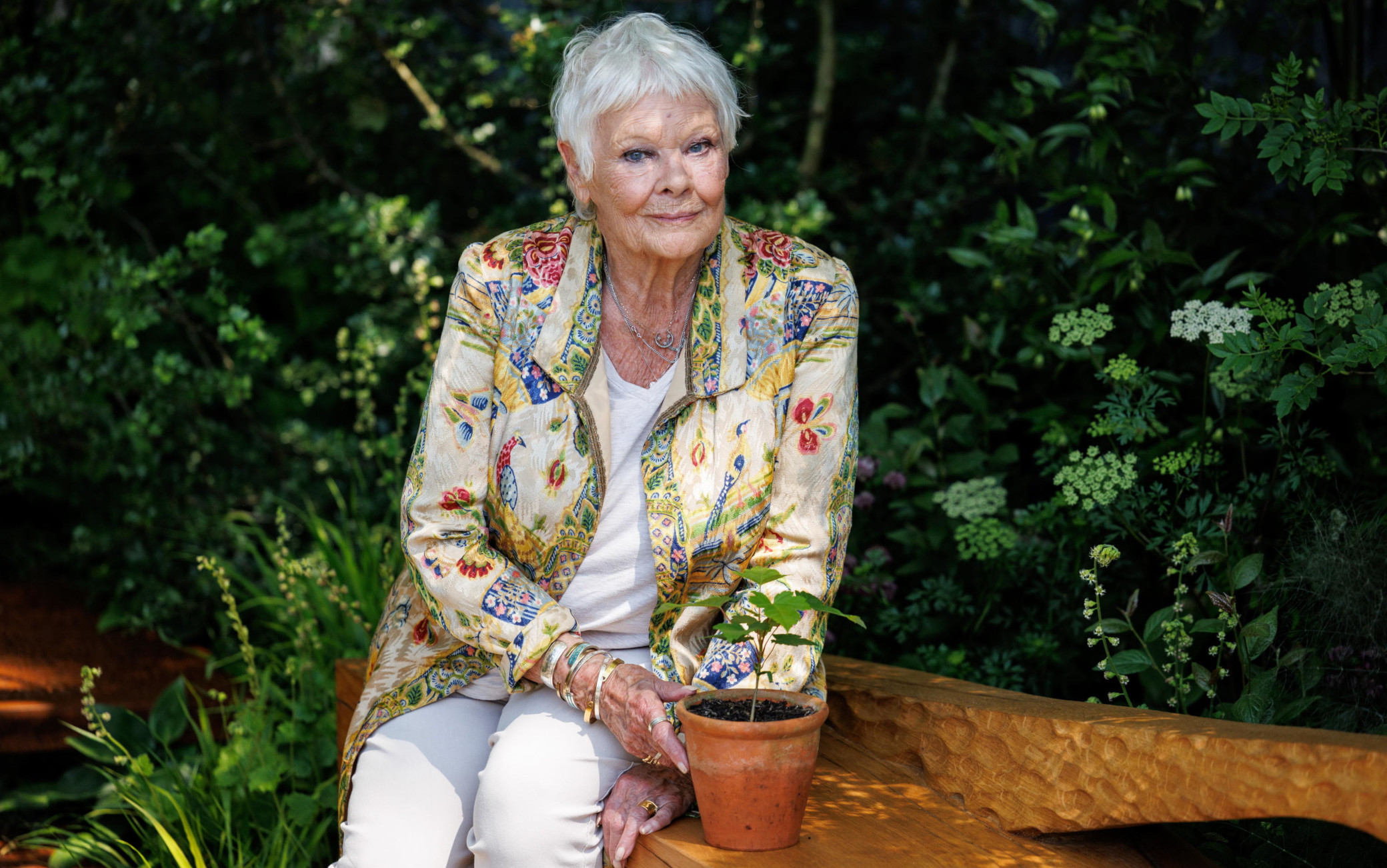 Judi Dench compie 90 anni, i 15 ruoli più famosi dell'attrice Premio ...