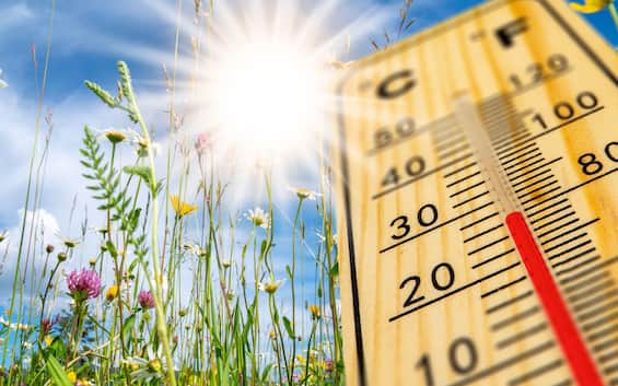 Meteo, in arrivo ondata di caldo e temperature oltre i 40°. Le ...