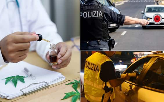 Nuovo Codice della Strada, sostanze stupefacenti: nuovi criteri per i ...