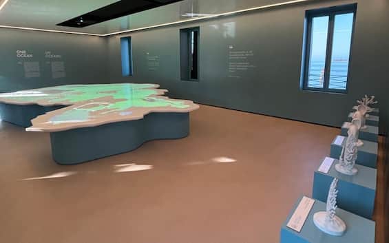 SEA Beyond Ocean Literacy Center, un centro dedicato all’educazione all ...