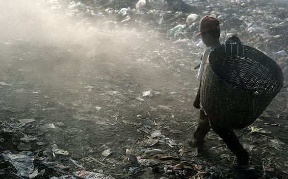 Lavoro minorile, quanti sono i bambini sfruttati nel mondo e come vivono | Sky TG24